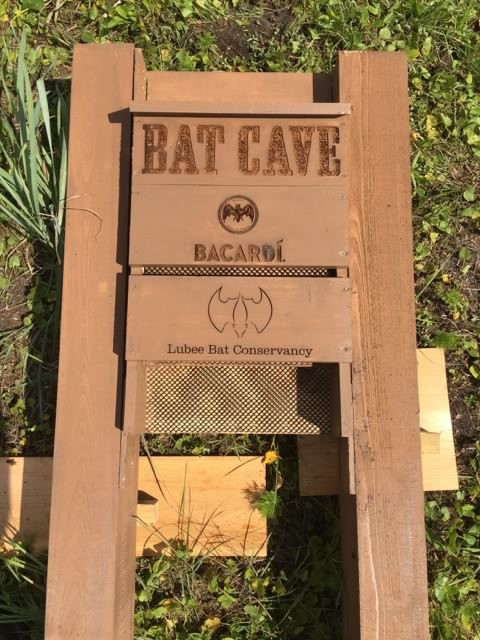 Bacardi Goes to Bat for Bats – Wine and Spirits